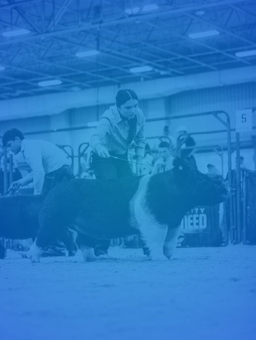 Primo Feeds · Primo Feeds LLC