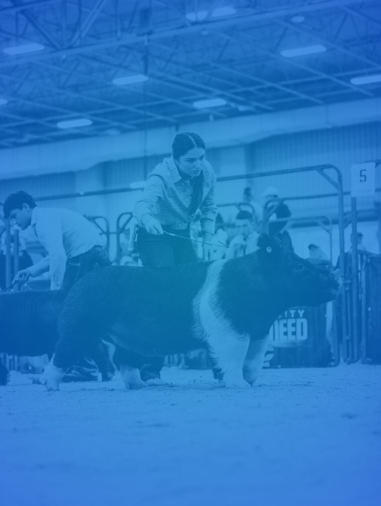 Primo Feeds · Primo Feeds LLC