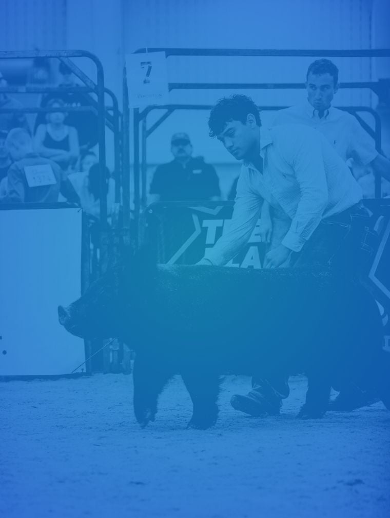 Primo Feeds · Primo Feeds LLC