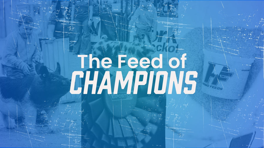 Find Primo Locations · Primo Feeds LLC