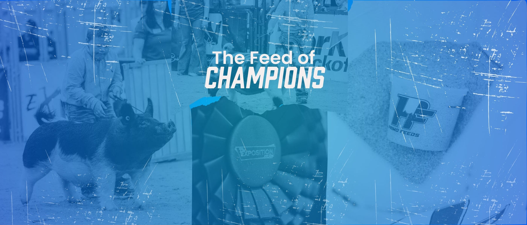 Primo Feeds · Primo Feeds LLC