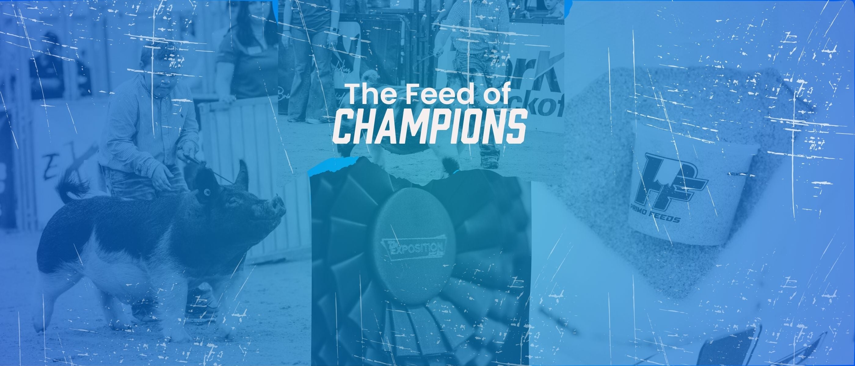 Primo Feeds · Primo Feeds LLC