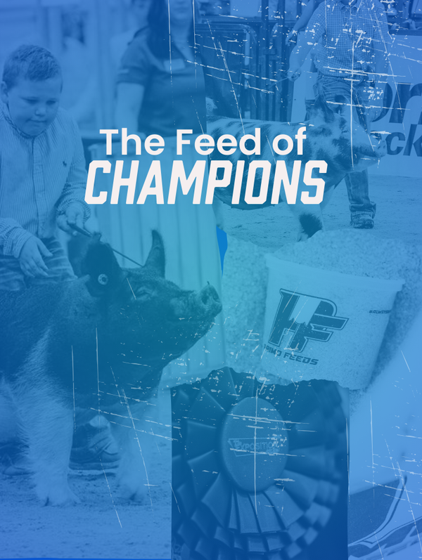 Primo Feeds · Primo Feeds LLC