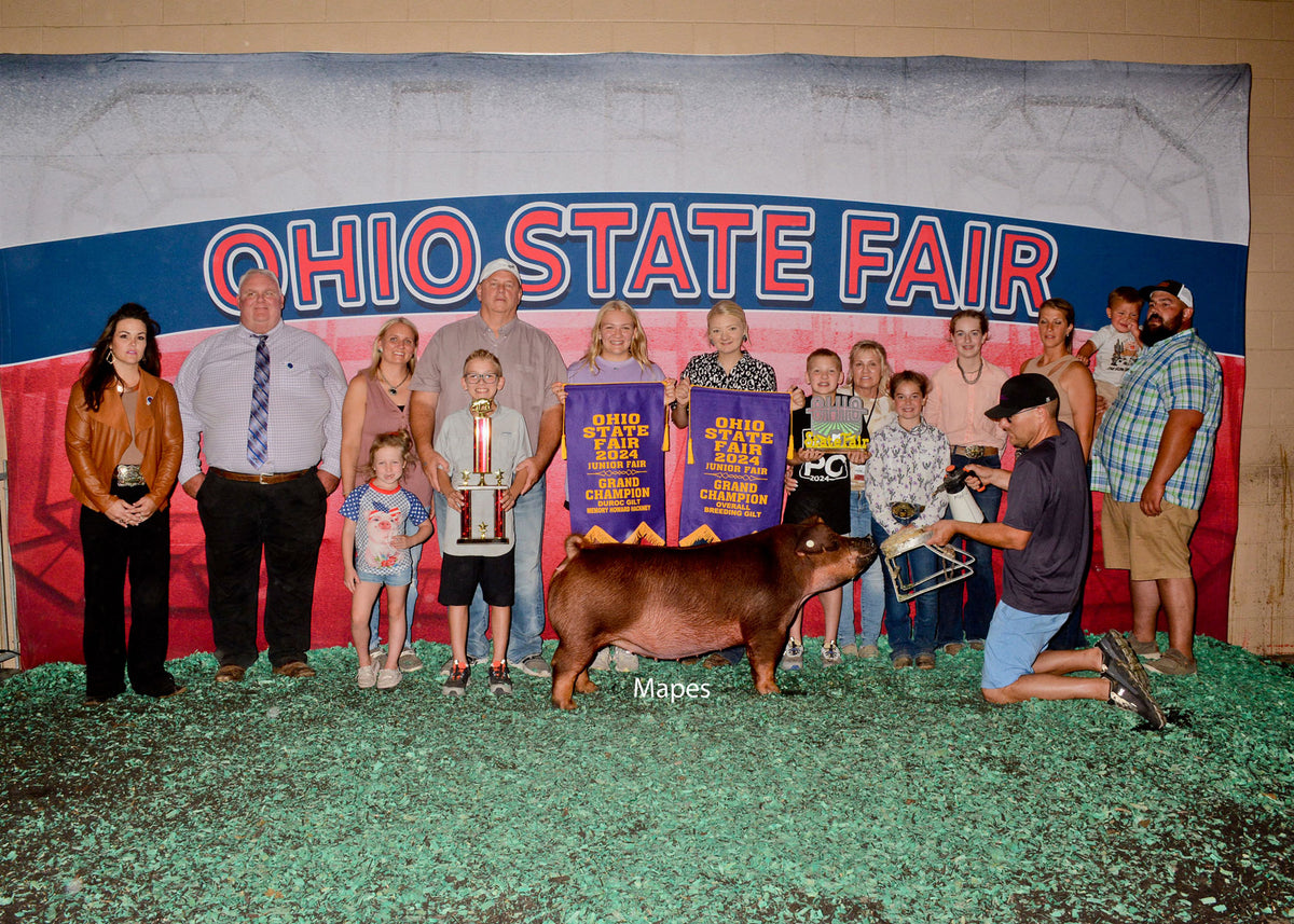 Primo Feeds · Primo Feeds LLC